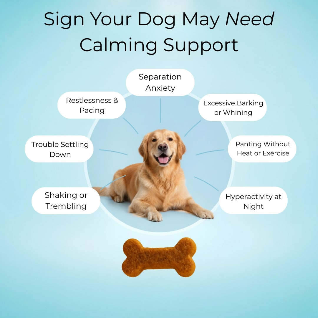Medipups | Calming Dog Chews