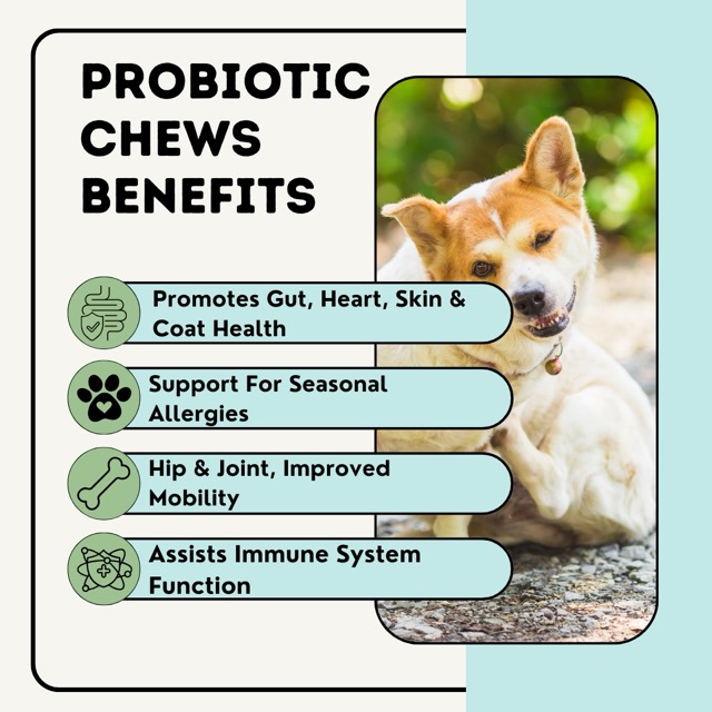 Medipups | Probiotic Dog Chews For Gut Health