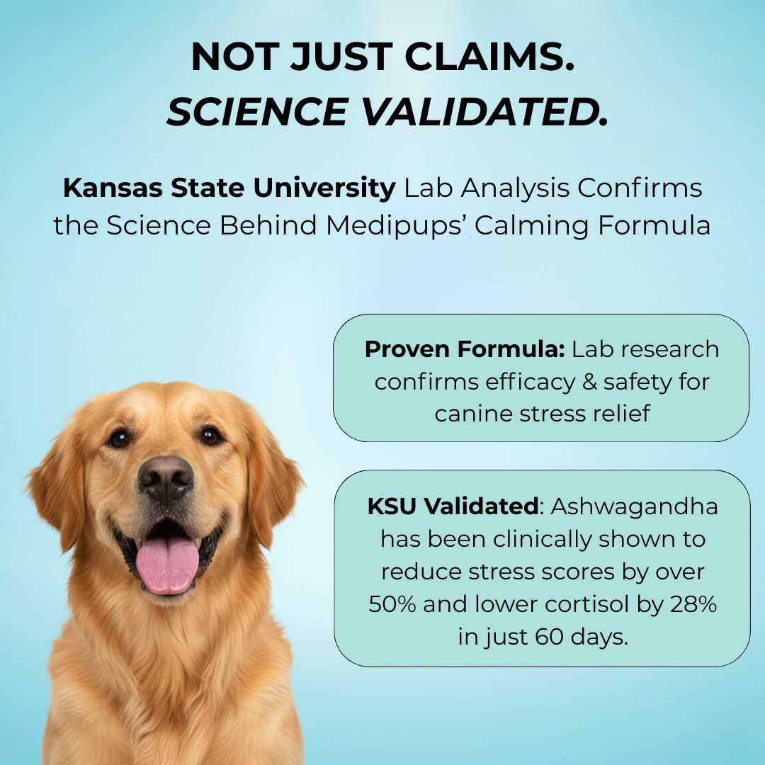 Medipups | Calming Dog Chews